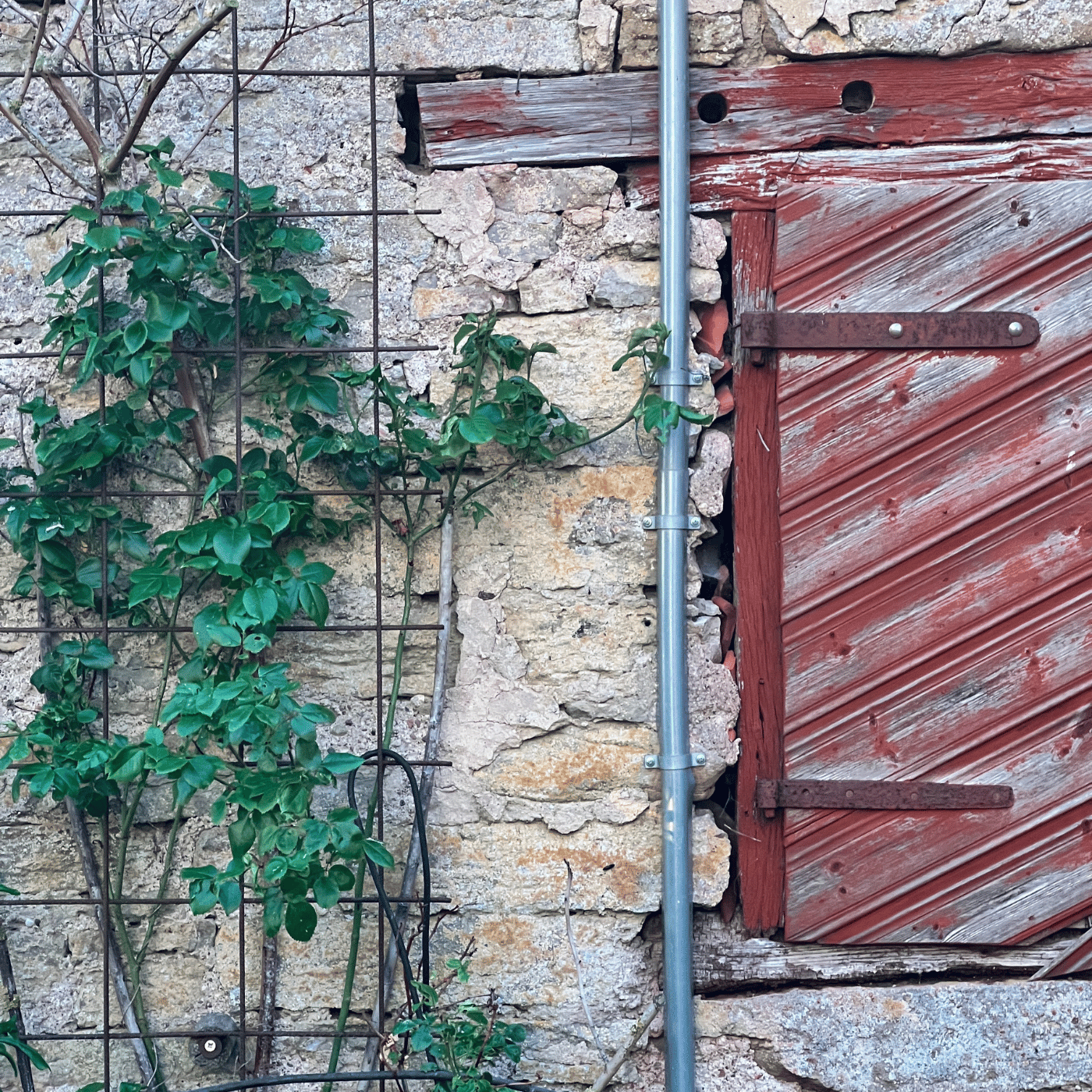 Läs vår story om The Kalm Taste of Öland - Paradisverkstaden Öland